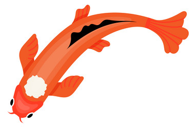 Koi Fish Top View Vector Images (over 210)