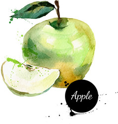 Hand drawn watercolor painting on white background