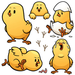 Chick Vector Images (over 32,000)