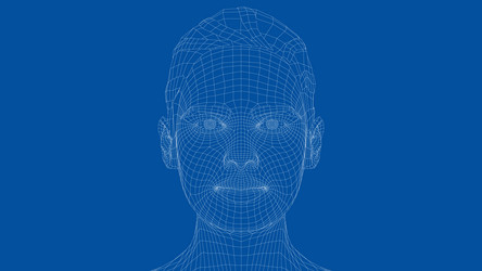 Wireframe portrait a young beautiful girl Vector Image