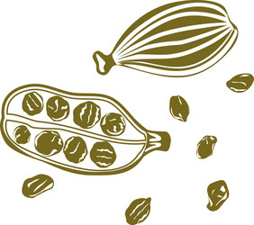 Cardamom Logo Vector Images (over 390)