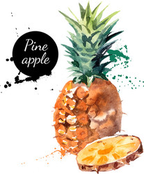 Hand drawn watercolor painting on white background