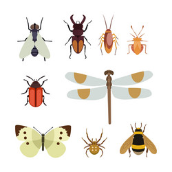 Cute insects cartoon bug and butterfly mascots Vector Image