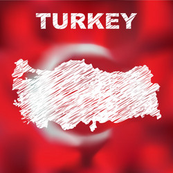 File map of esentepe geometric map of turkey Vector Image