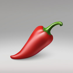 Red hot chili pepper icon Royalty Free Vector Image
