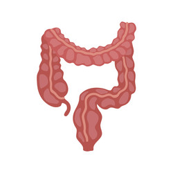 Colon Vector Images (over 14,000)