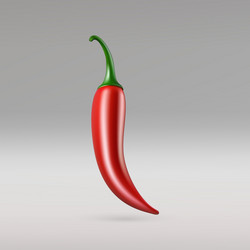 Red hot chili pepper icon Royalty Free Vector Image