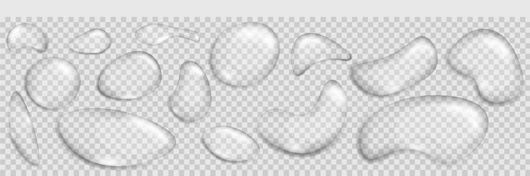 Realistic water drops bubbles rain water foam Vector Image