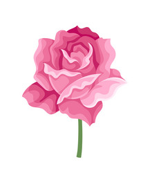 Watercolor cute rose Royalty Free Vector Image