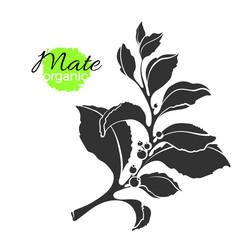 Mate 1 branch shape Royalty Free Vector Image - VectorStock