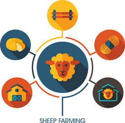Sheep farming icon and agriculture infographics Vector Image