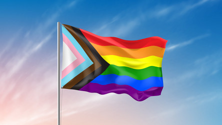 Progressive Pride Vector Images (over 570)