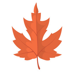 Cartoon orange maple leaf isolated Royalty Free Vector Image