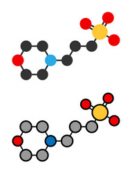 Hepes buffering agent molecule skeletal formula Vector Image