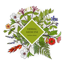 Natural home remedies Royalty Free Vector Image