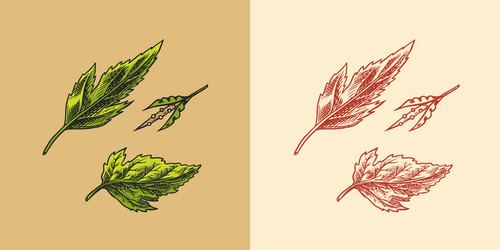 Condiment Vector Images (over 36,000)