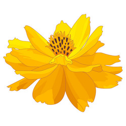 Marigold Cartoon Flower Vector Images (over 480)