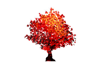 Bonsai maple tree in a wooden tub or flowerpot Vector Image