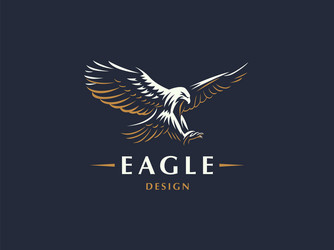Flying eagle spread the wings Royalty Free Vector Image