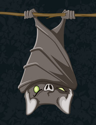 Hanging Bat Vector Images (over 1,600)