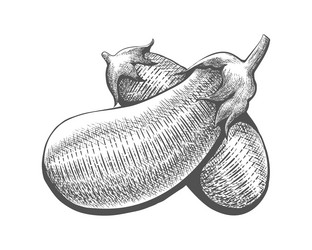 Brinjal Drawing For Kids