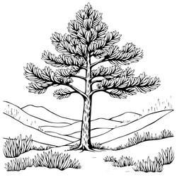 Sycamore tree coloring page design Royalty Free Vector Image