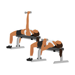 Chest Press Vector Images (over 970)