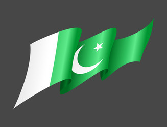 Pakistani flag background Royalty Free Vector Image