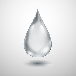 Water drop Royalty Free Vector Image - VectorStock