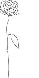 One single line drawing beauty fresh rose flower Vector Image
