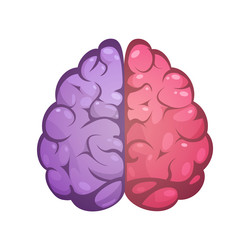 Left right brain concept Royalty Free Vector Image