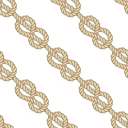 Figure 8 Vector Images (over 3,800)