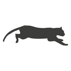Cat Running Vector Images (over 2,800)