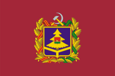 Flag vladimir oblast russia Royalty Free Vector Image