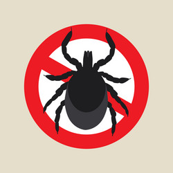 Image of a tick in red crossed-out circle Vector Image