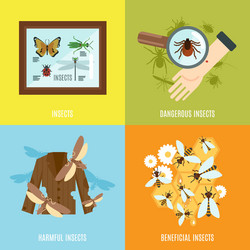 Insects infographic set Royalty Free Vector Image