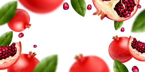 Pomegranate Vector Images (over 17,000)