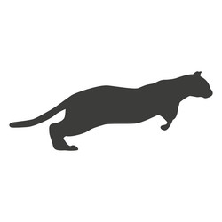 Cat Running Vector Images (over 2,800)