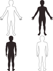 Human body part Royalty Free Vector Image - VectorStock