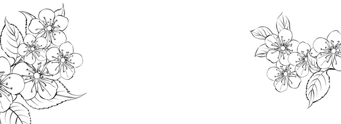 Botanical elements design template panoramic Vector Image