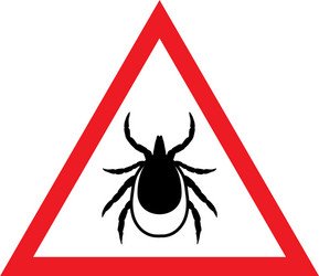 Image of a tick in red crossed-out circle Vector Image