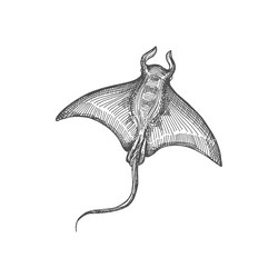 Pelagic Fish Vector Images (over 110)