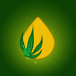 Black oil spill stain with a drop icon Royalty Free Vector