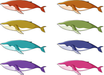 Many Vector Images (over 100,000)