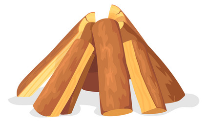 Tree branch timber stack dry wood stick Royalty Free Vector