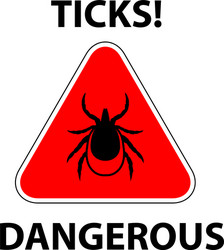 Tick Cartoon Bug Vector Images (over 470)