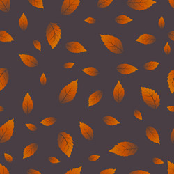 Beech Leaf Vector Images (over 1,900)