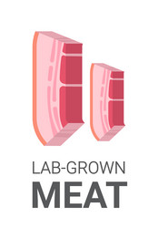 Cultured raw red meat bacon made from animal cells