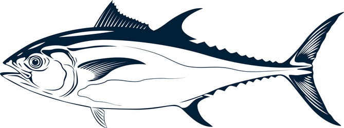 Tuna Vector Images (over 28,000)