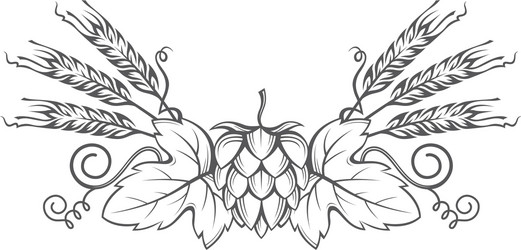 Barley and wheat malt hops beer Royalty Free Vector Image
